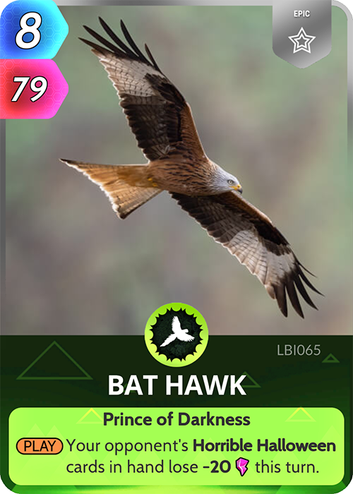 Bat Hawk